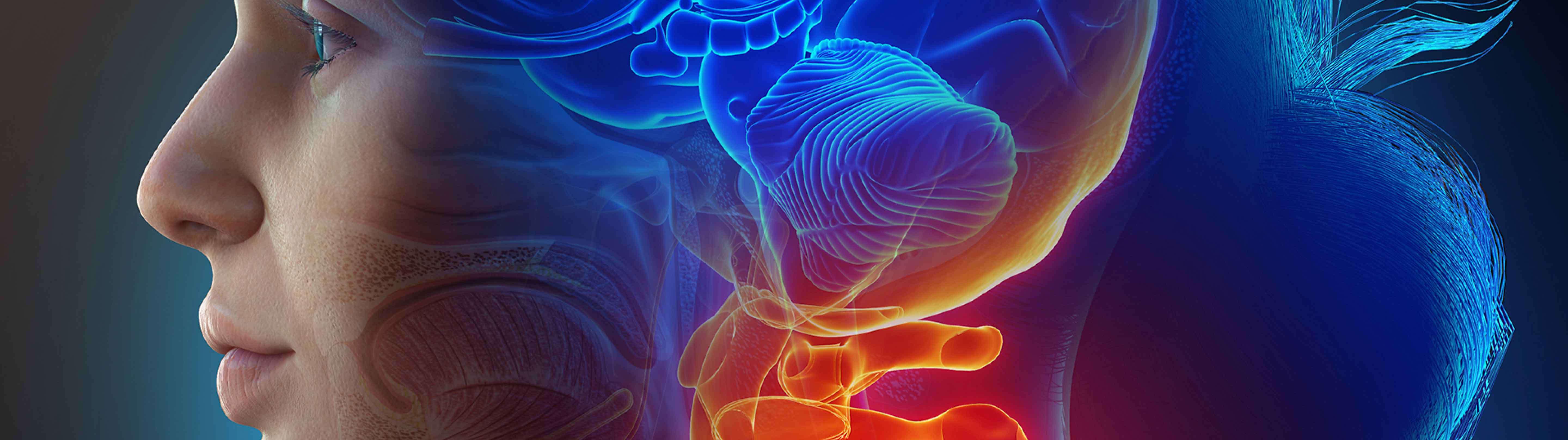 Head and Neck Cancer - Symptoms, Signs, Treatment & Diagnosis